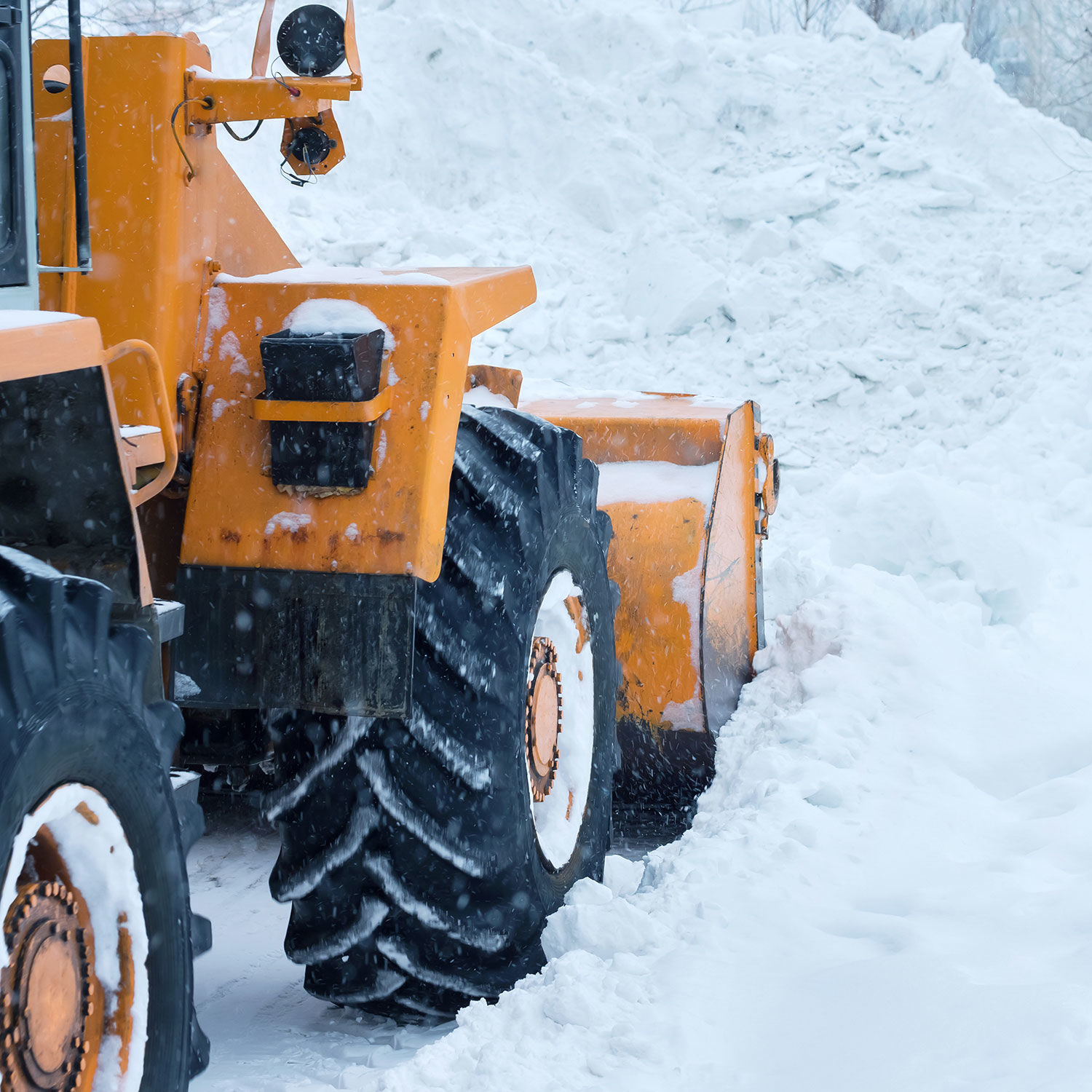 Rotary Position Sensor | Regal